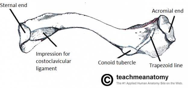 Index of /wp-content/uploads/2013/02
