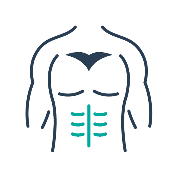 The Abdomen - TeachMeAnatomy