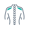 Back Anatomy | Spine, Muscles and Ligaments – TeachMeAnatomy