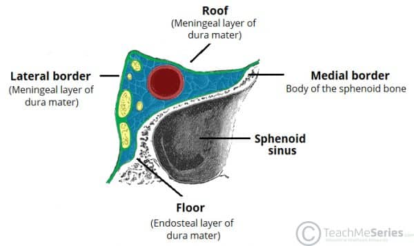 The Cavernous Sinus - Contents - Borders - Thrombosis - TeachMeAnatomy