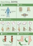 How to Learn Joint Anatomy - Type - Movements - TeachMeAnatomy
