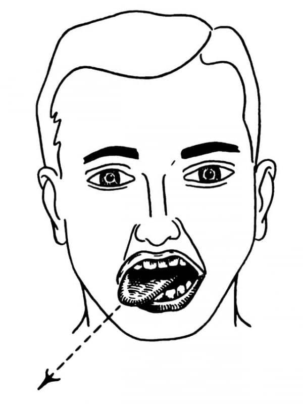 The Hypoglossal Nerve (CN XII) - Course - Motor - TeachMeAnatomy