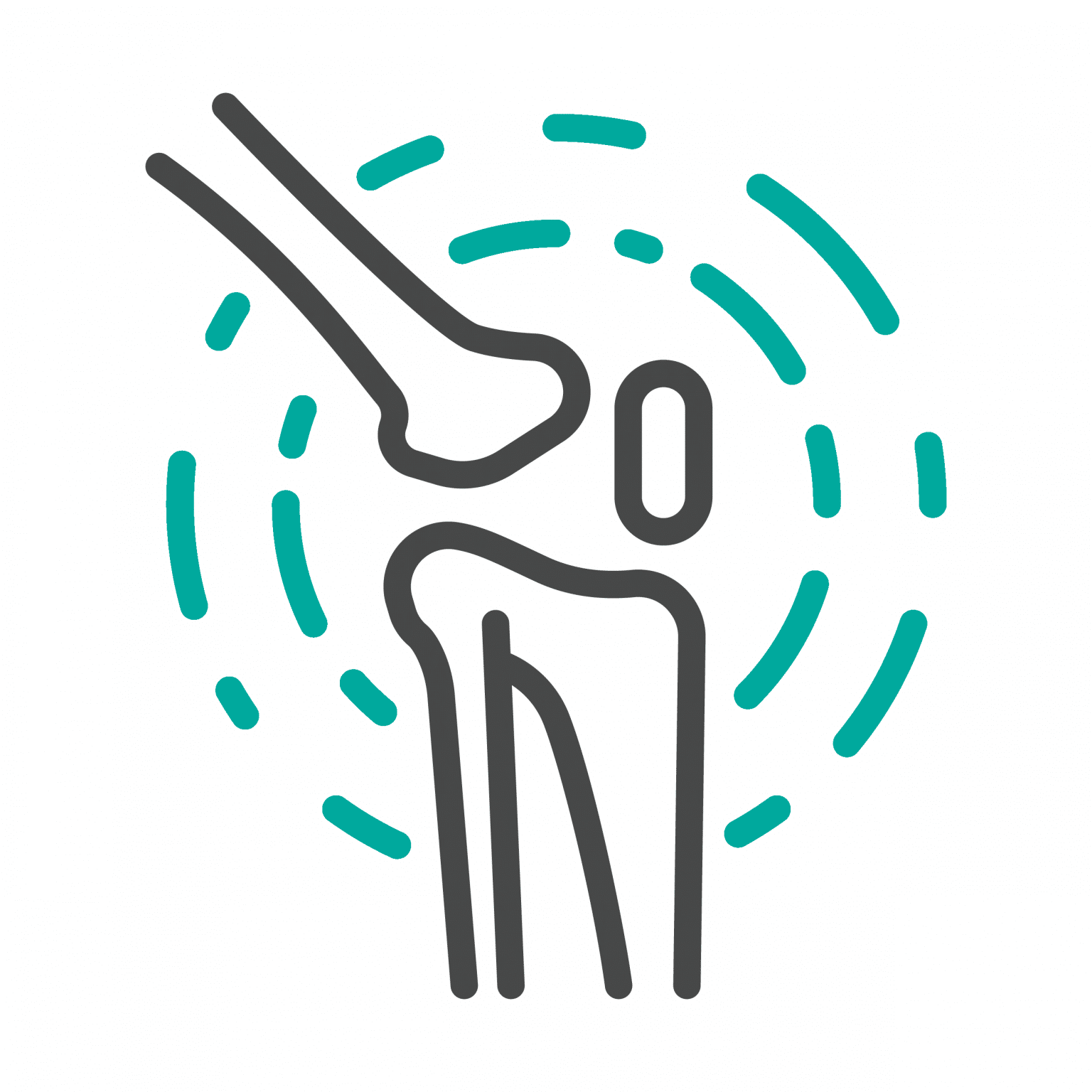 Lower Limb Anatomy | Hip, Thigh, Leg and Foot – TeachMeAnatomy