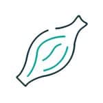 Upper Limb Anatomy | Shoulder, Arm, Forearm and Hand – TeachMeAnatomy