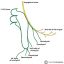 The Cranial Nerves | Functions and Pathways – TeachMeAnatomy