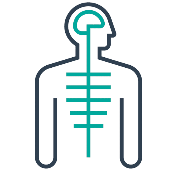 Neuroanatomy | Brain and Spinal Cord Structures – TeachMeAnatomy