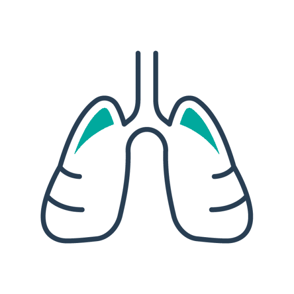 Thorax Anatomy | Chest Cavity and Mediastinum – TeachMeAnatomy