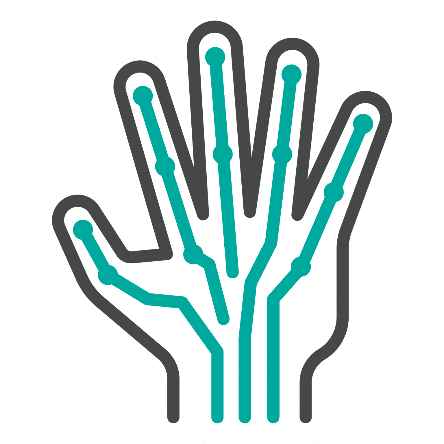 The Accessory Organs of the Abdomen - TeachMeAnatomy