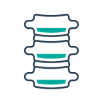 Human Neck Anatomy - TeachMeAnatomy