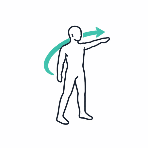 Anatomical Terminology | Positions, Planes and Movement – TeachMeAnatomy